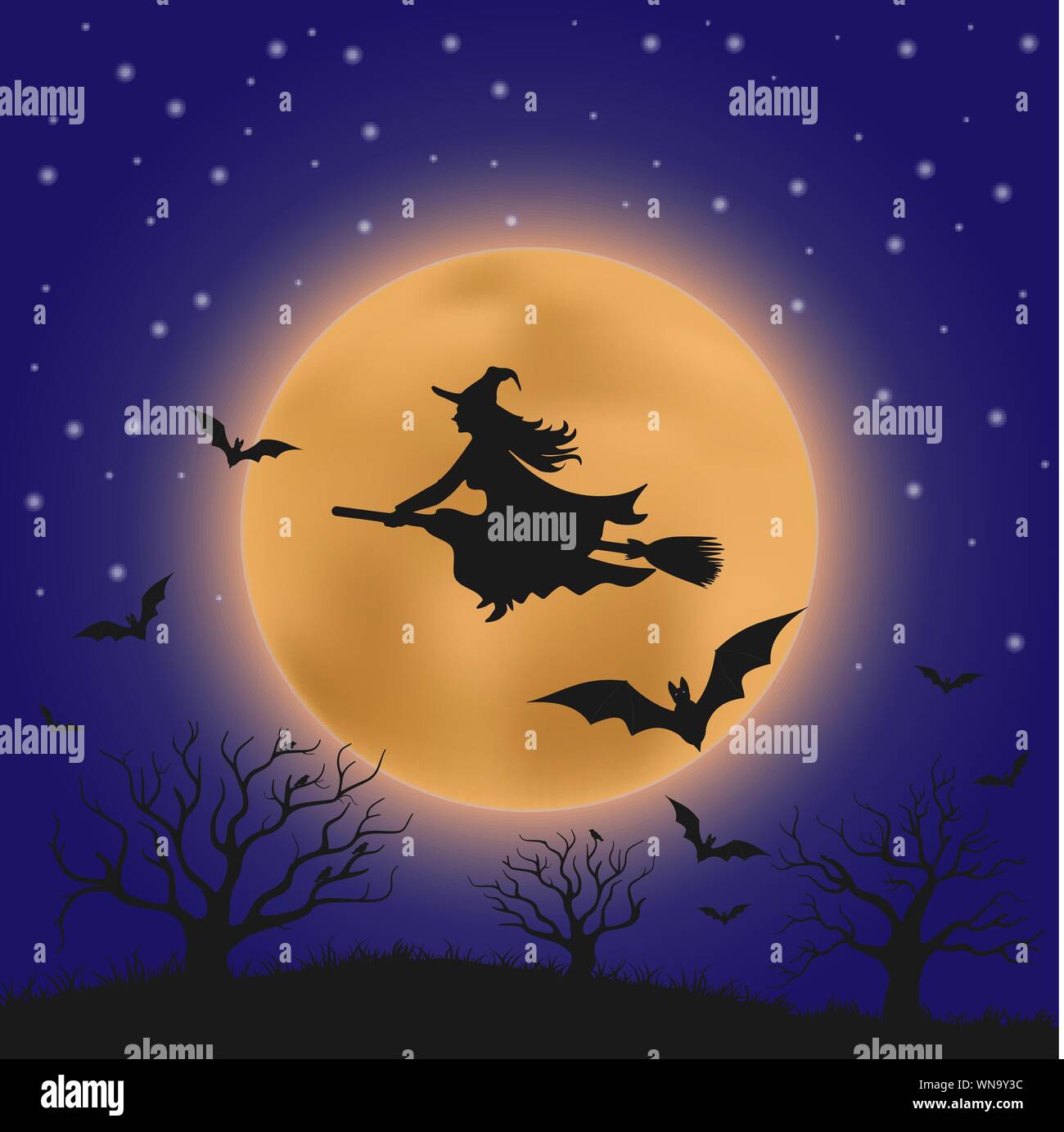 On a broom Stock Vector Images - Alamy