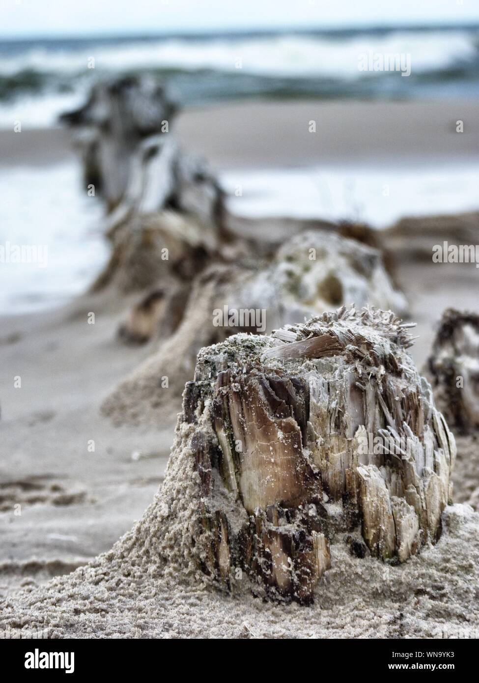 Wood at beach hi-res stock photography and images - Alamy