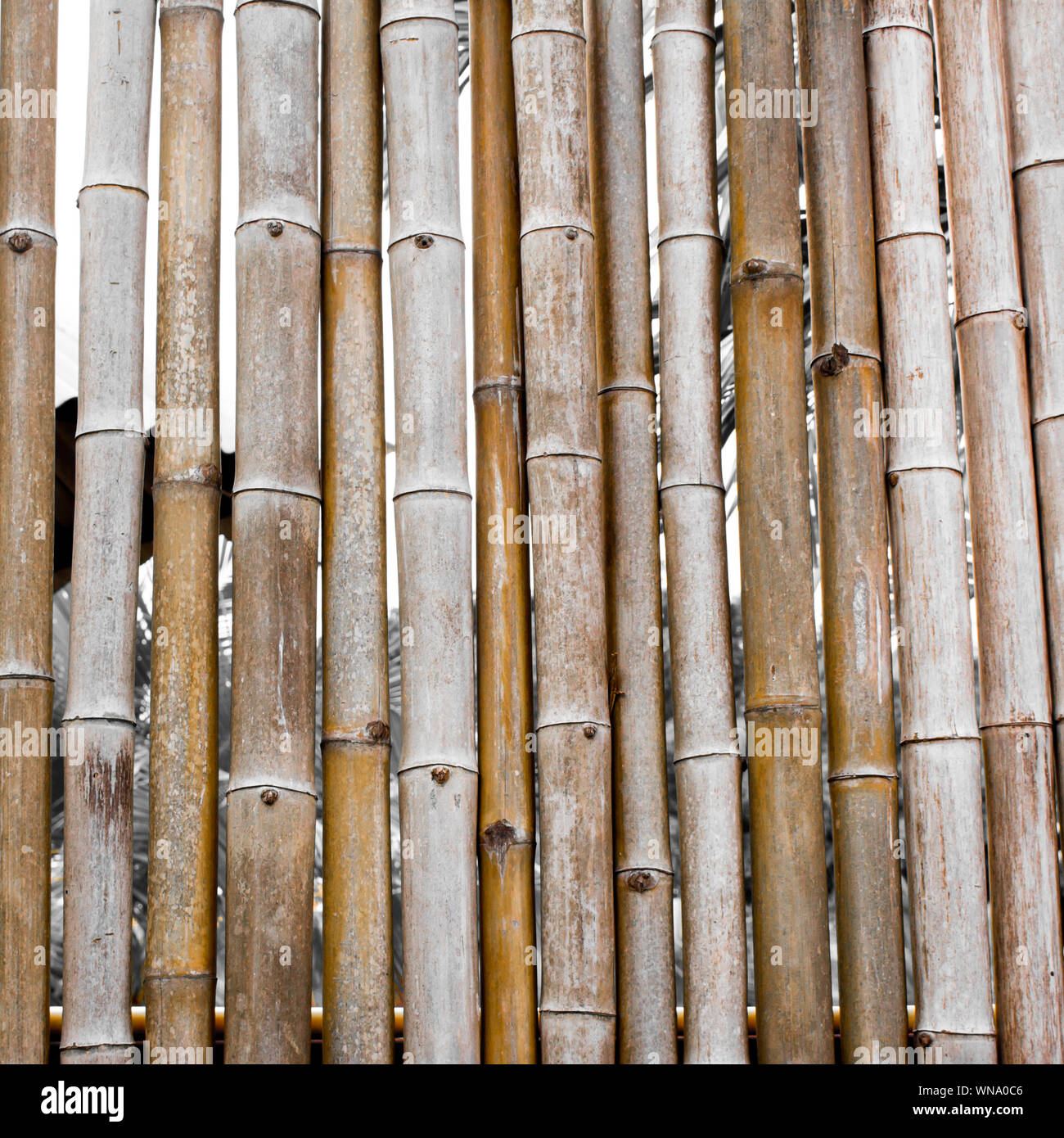 Background and pattern of the old bamboo fence line Stock Photo - Alamy