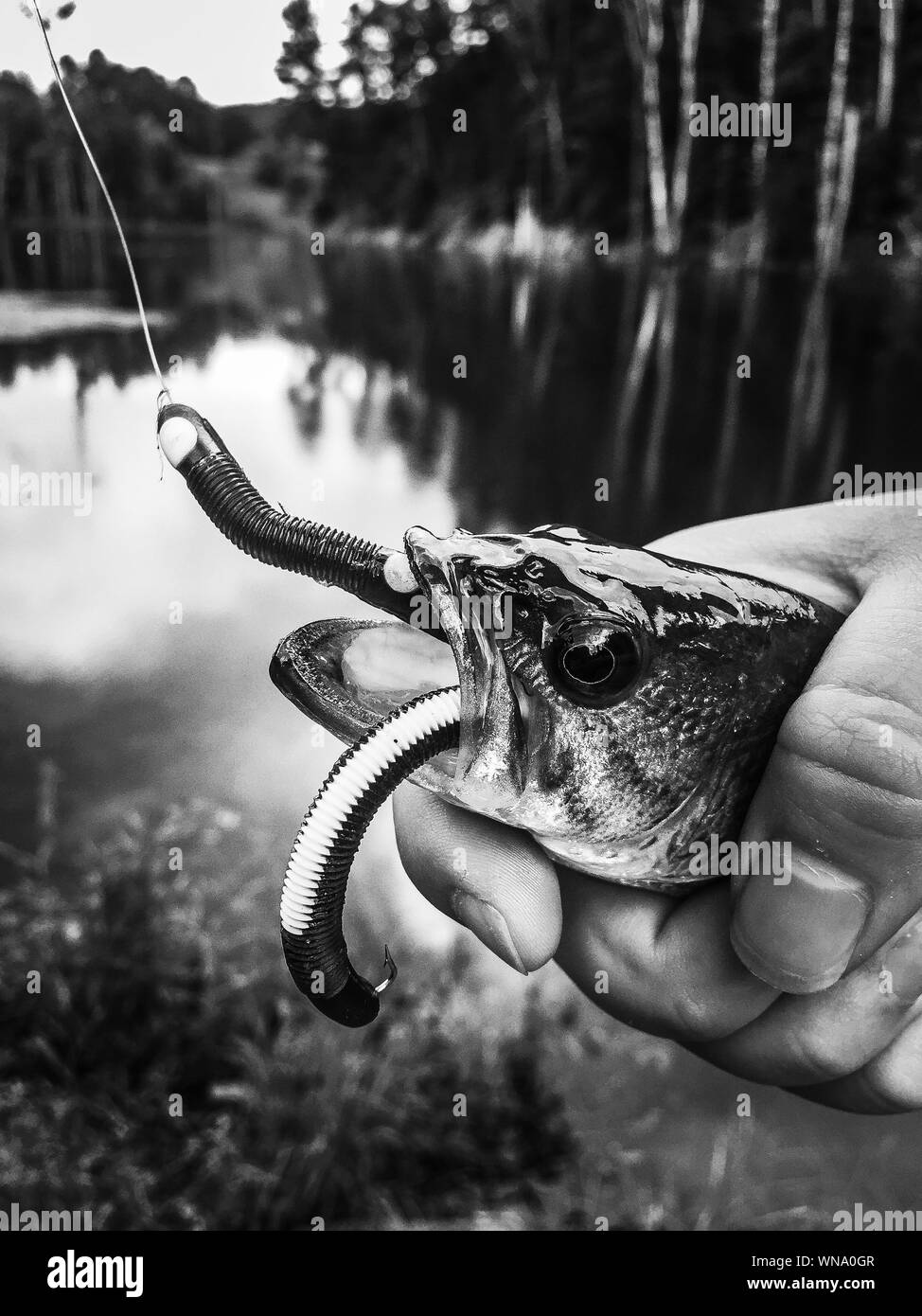 Hook for hand hi-res stock photography and images - Alamy