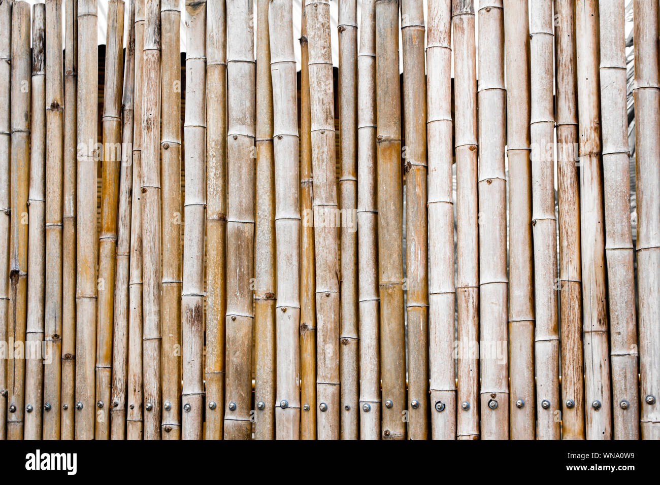 Background and pattern of the old bamboo fence line Stock Photo - Alamy