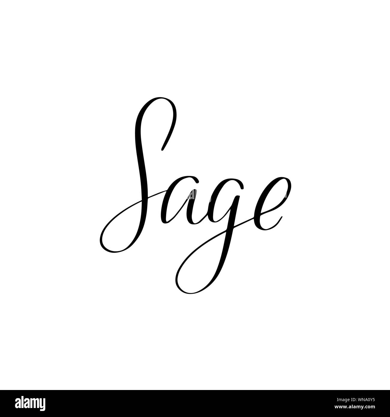 Inspirational handwritten brush lettering . Vector calligraphy ...