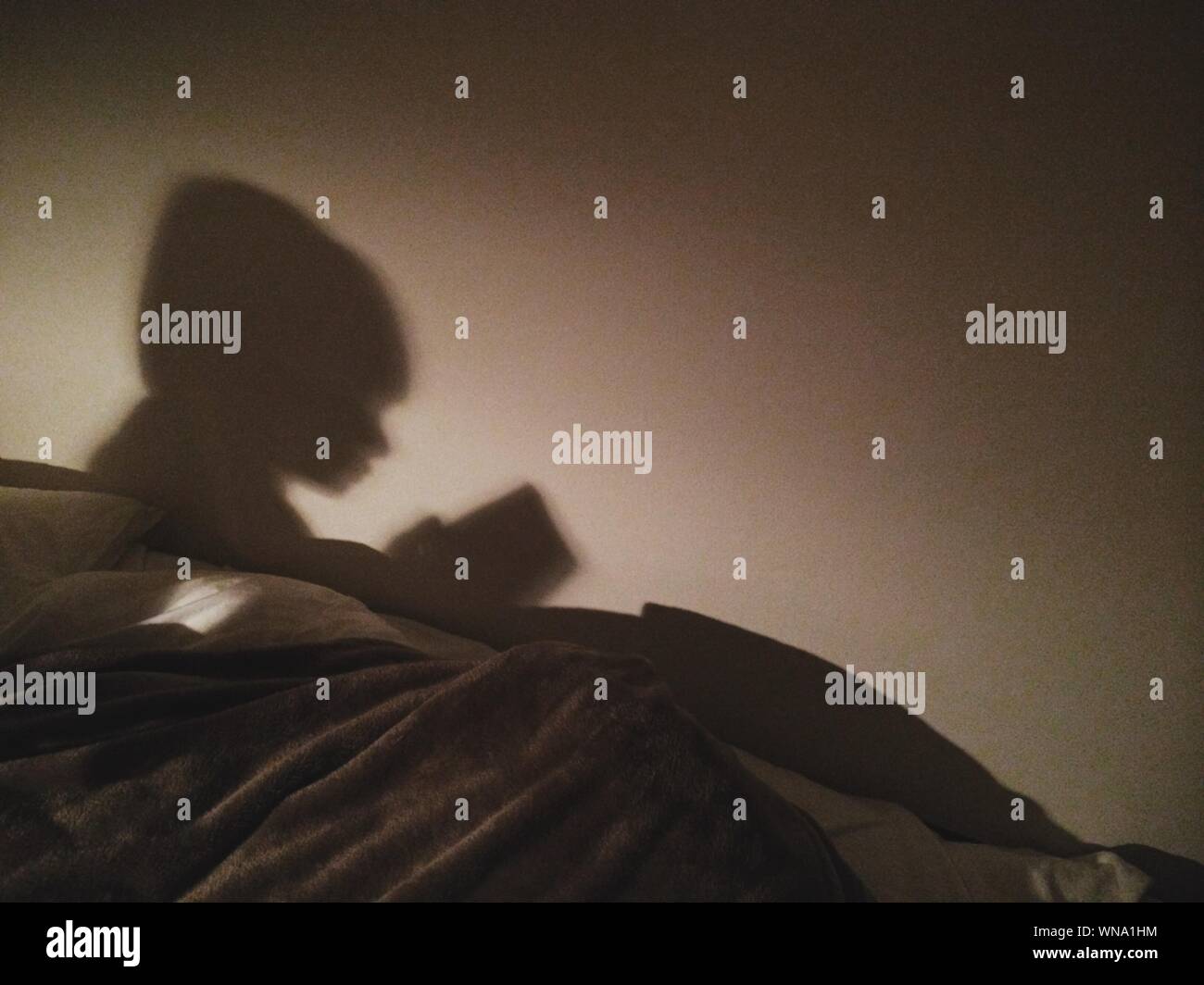 Book wall hi-res stock photography and images - Alamy