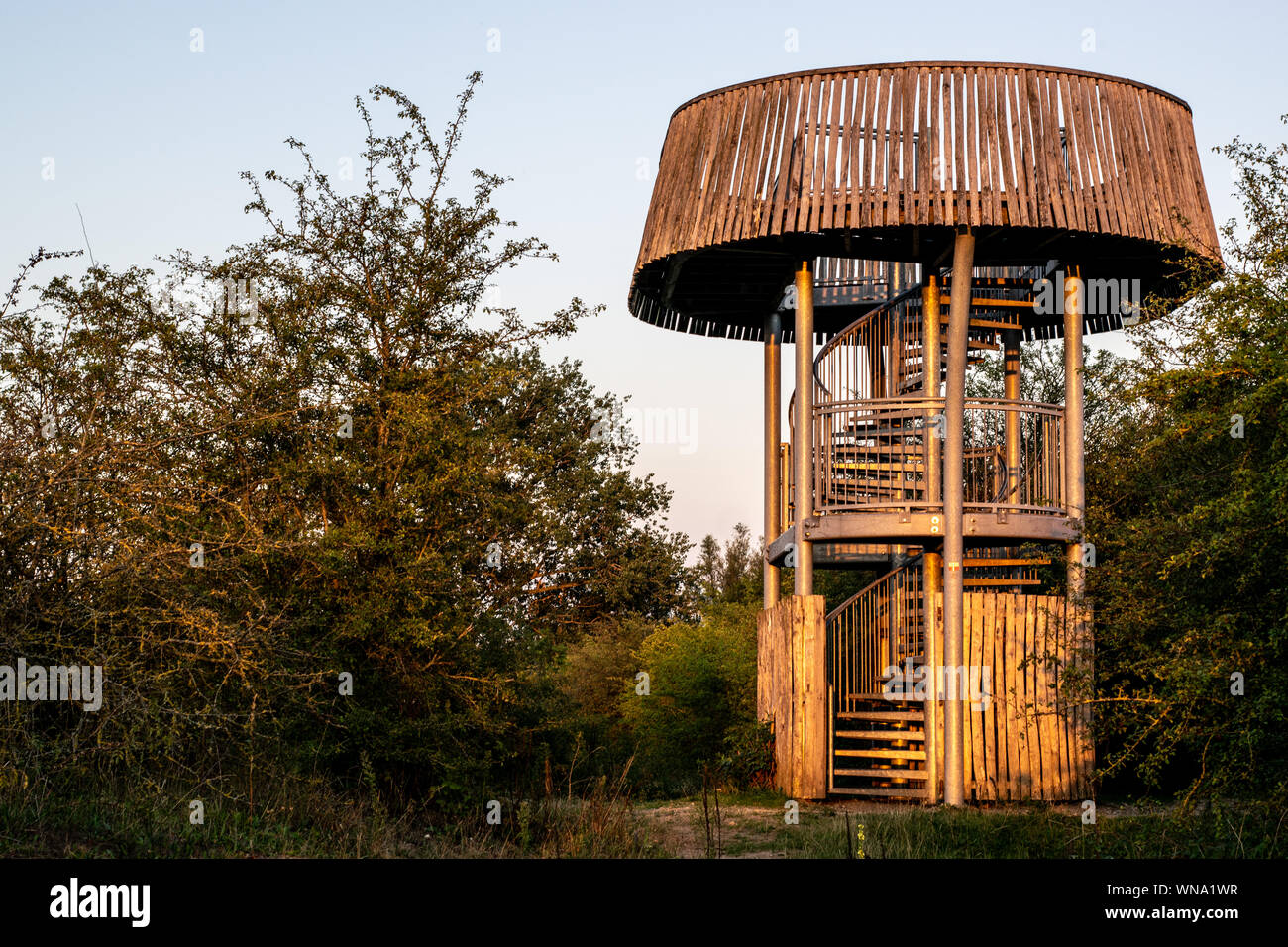 A wooden watchtower and observation tower in a forest in gelderland ...