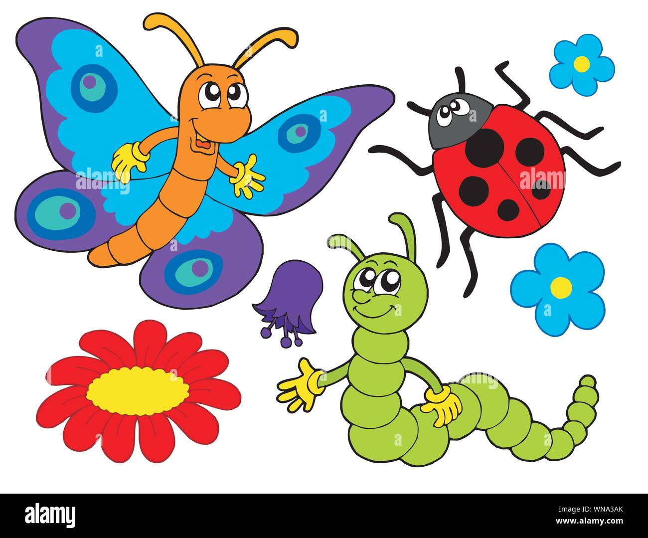 Bug and flower illustration Stock Vector Image & Art - Alamy