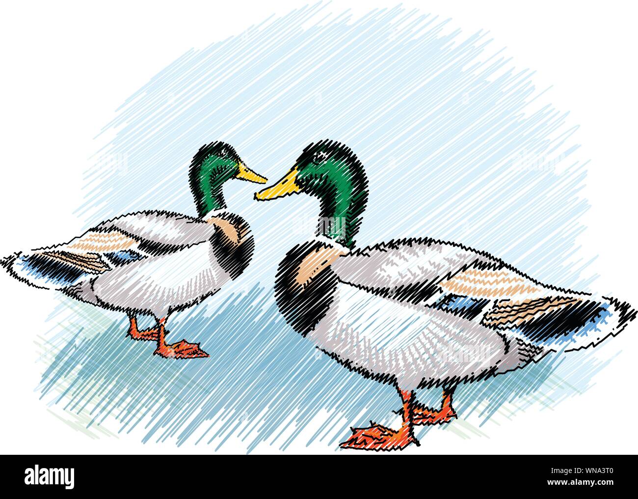 Ducks on a farm Stock Vector Image & Art - Alamy