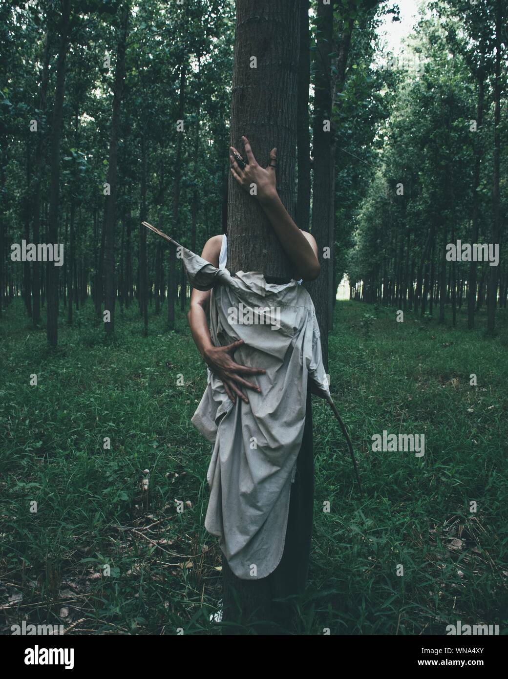 Woman hiding in the forest hi-res stock photography and images - Alamy