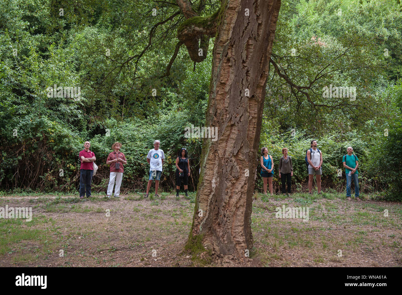 "Forest bathing", bioenergetic experience with Marco Nieri. Villa Ada ...