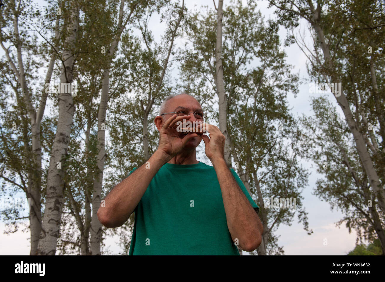 "Forest bathing", bioenergetic experience with Marco Nieri. Villa Ada ...
