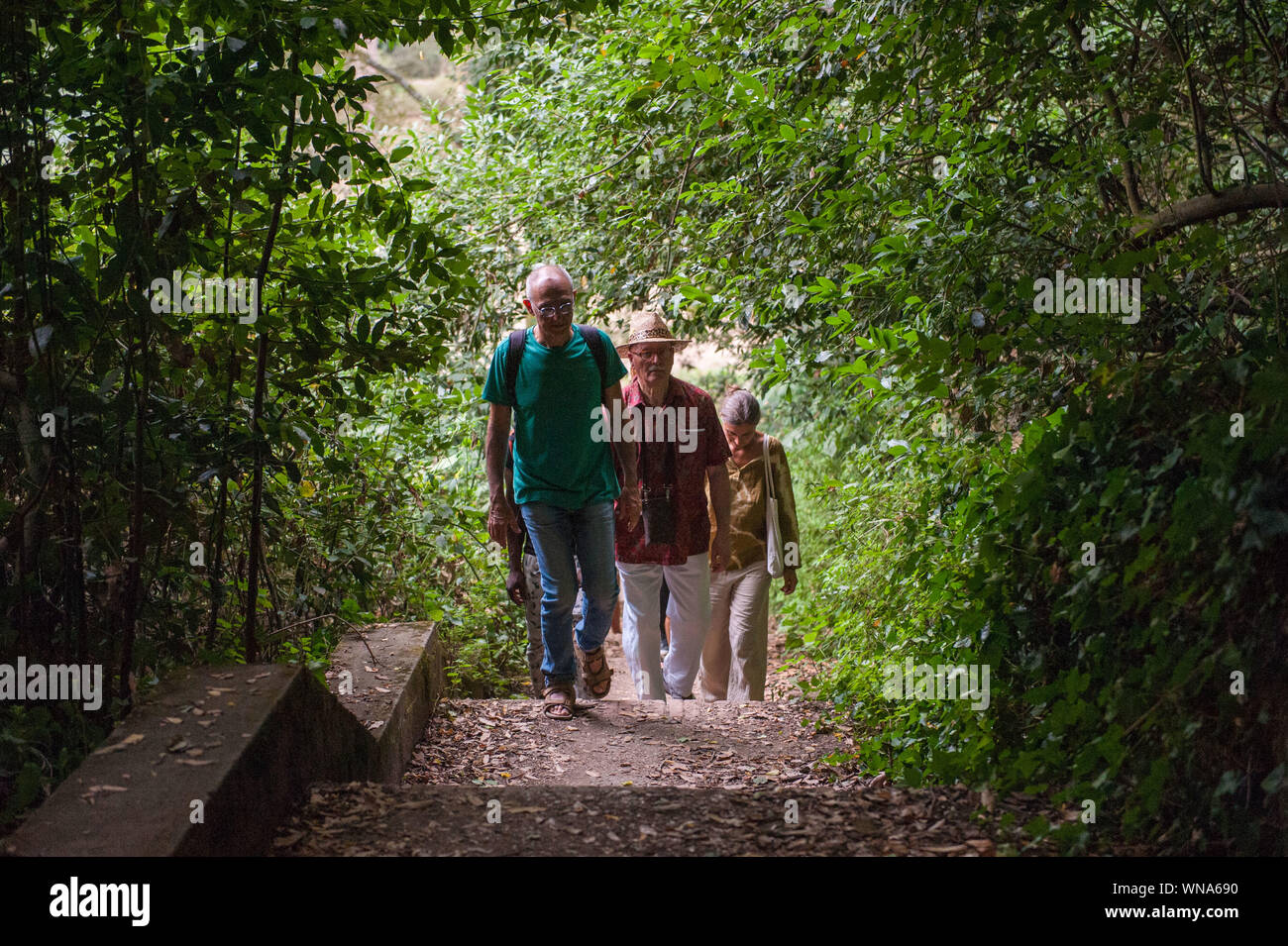 "Forest bathing", bioenergetic experience with Marco Nieri. Villa Ada ...
