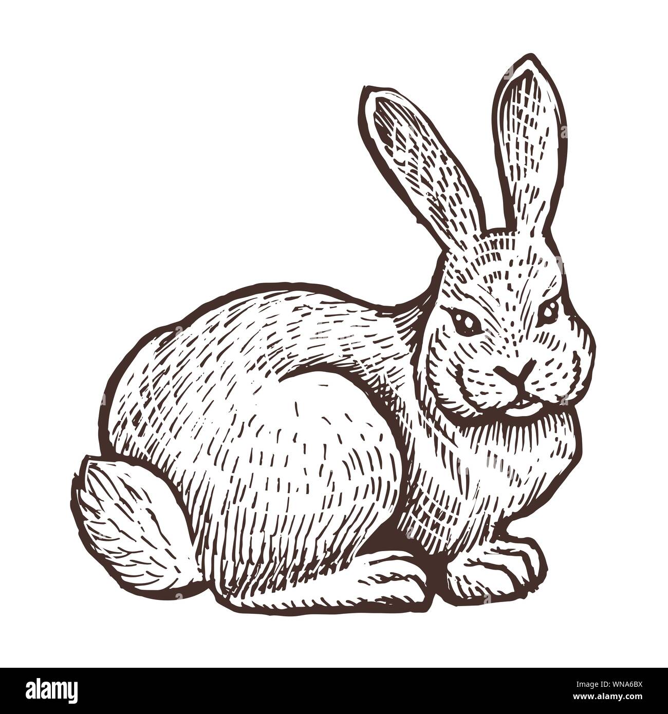 Rustic farm stand Stock Vector Images - Alamy