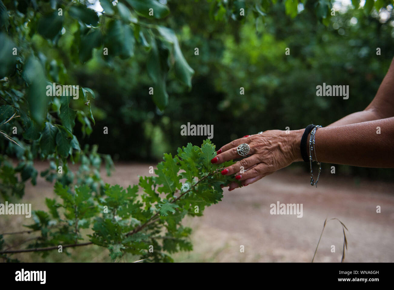 Bathing women rome hi-res stock photography and images - Alamy