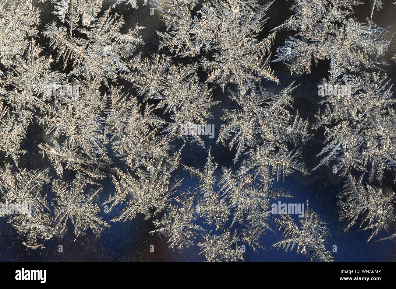 Snowflakes frost rime macro on window glass pane. Colorful ice on the ...