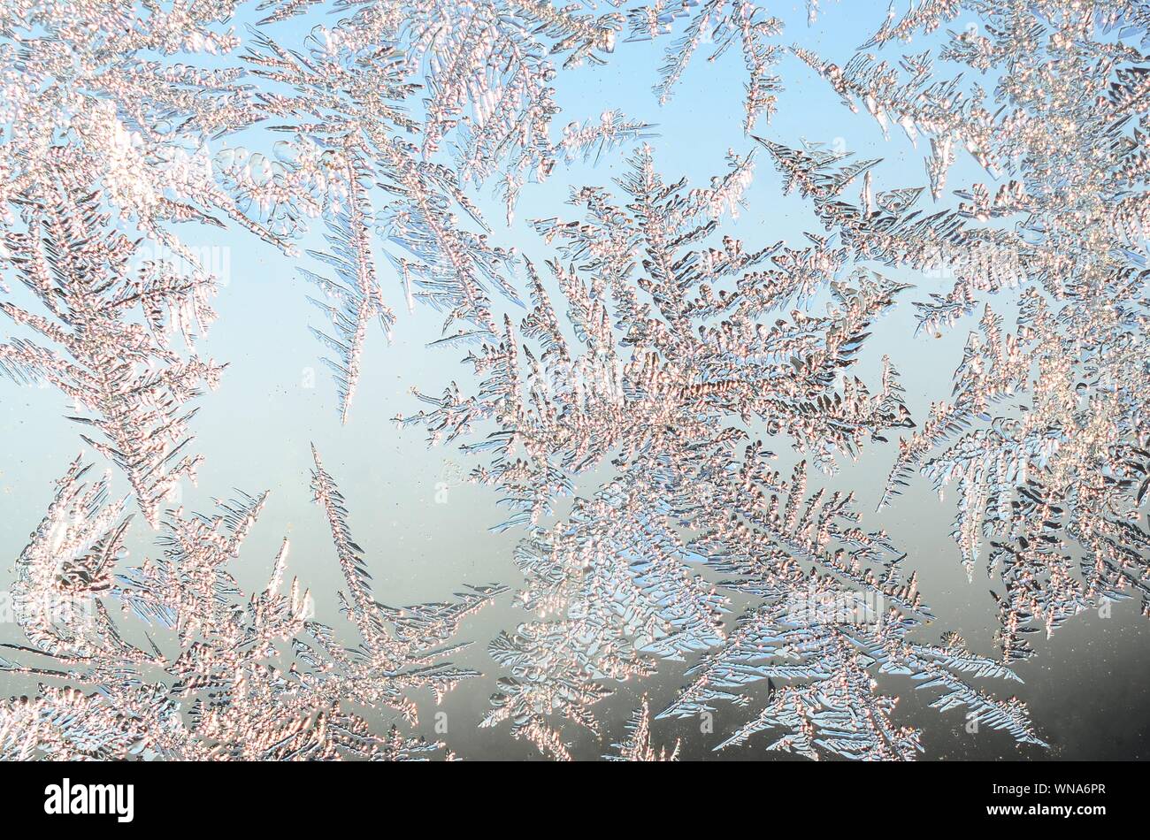 Snowflakes frost rime macro on window glass pane. Colorful ice on the ...