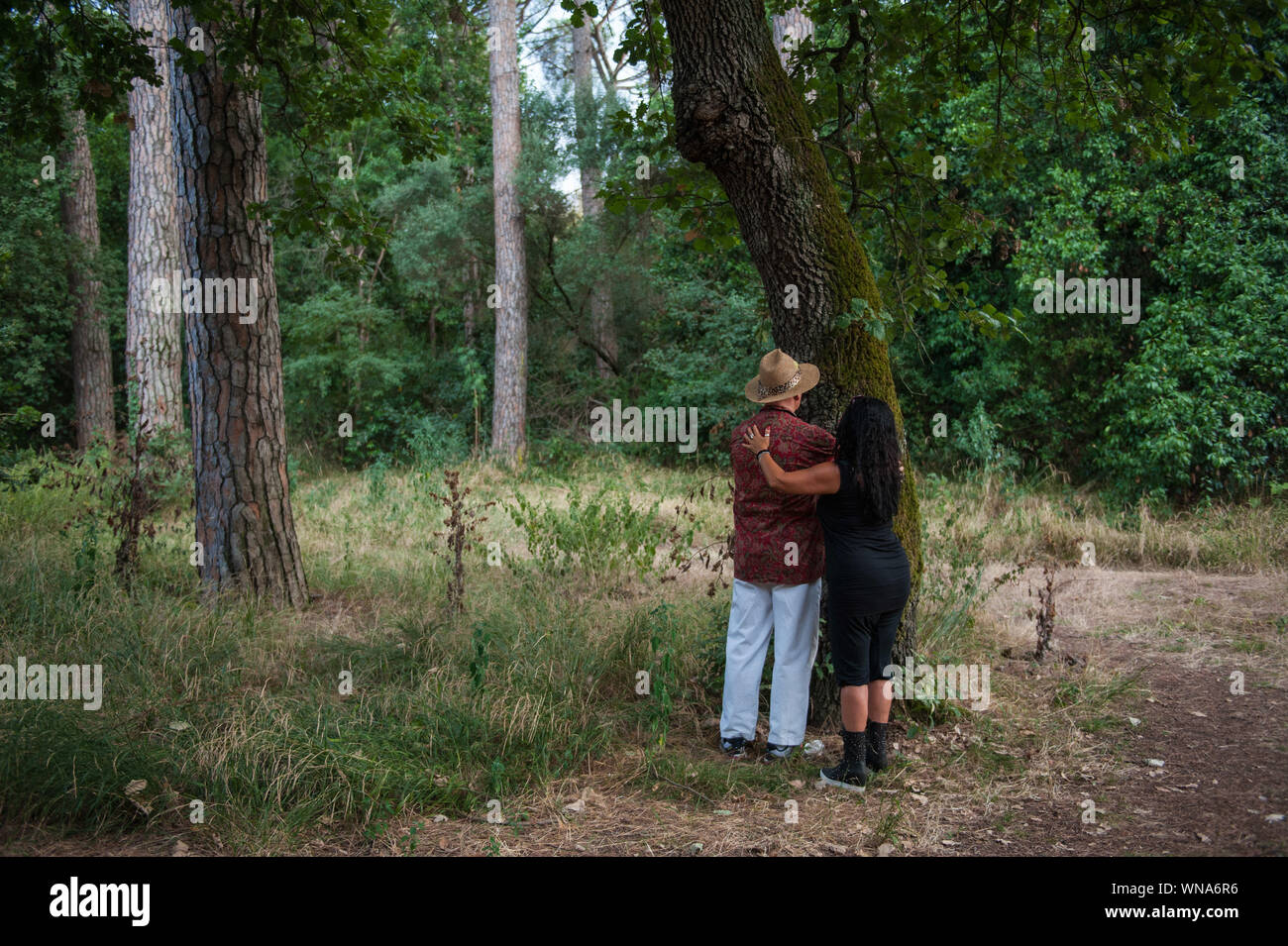 Bioenergia High Resolution Stock Photography and Images - Alamy