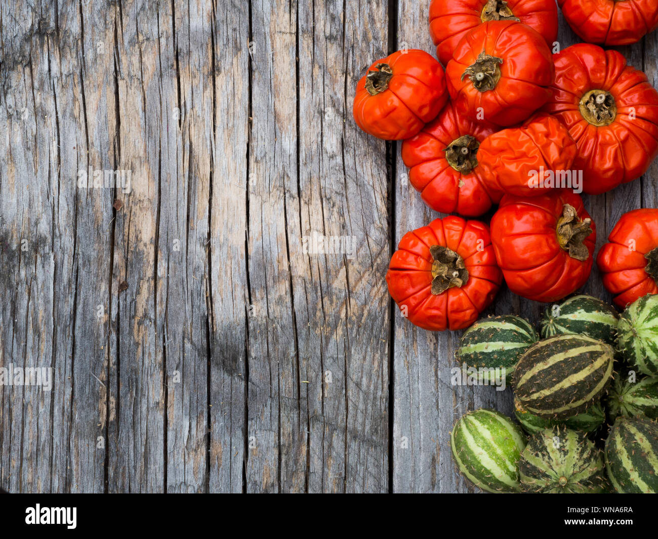 Wild cucumbers hi-res stock photography and images - Alamy