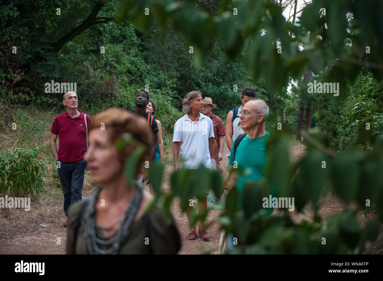 Bioenergia hi-res stock photography and images - Alamy
