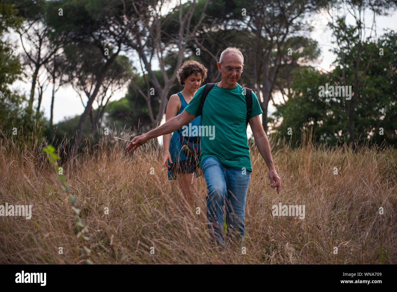 Rsting hi-res stock photography and images - Alamy