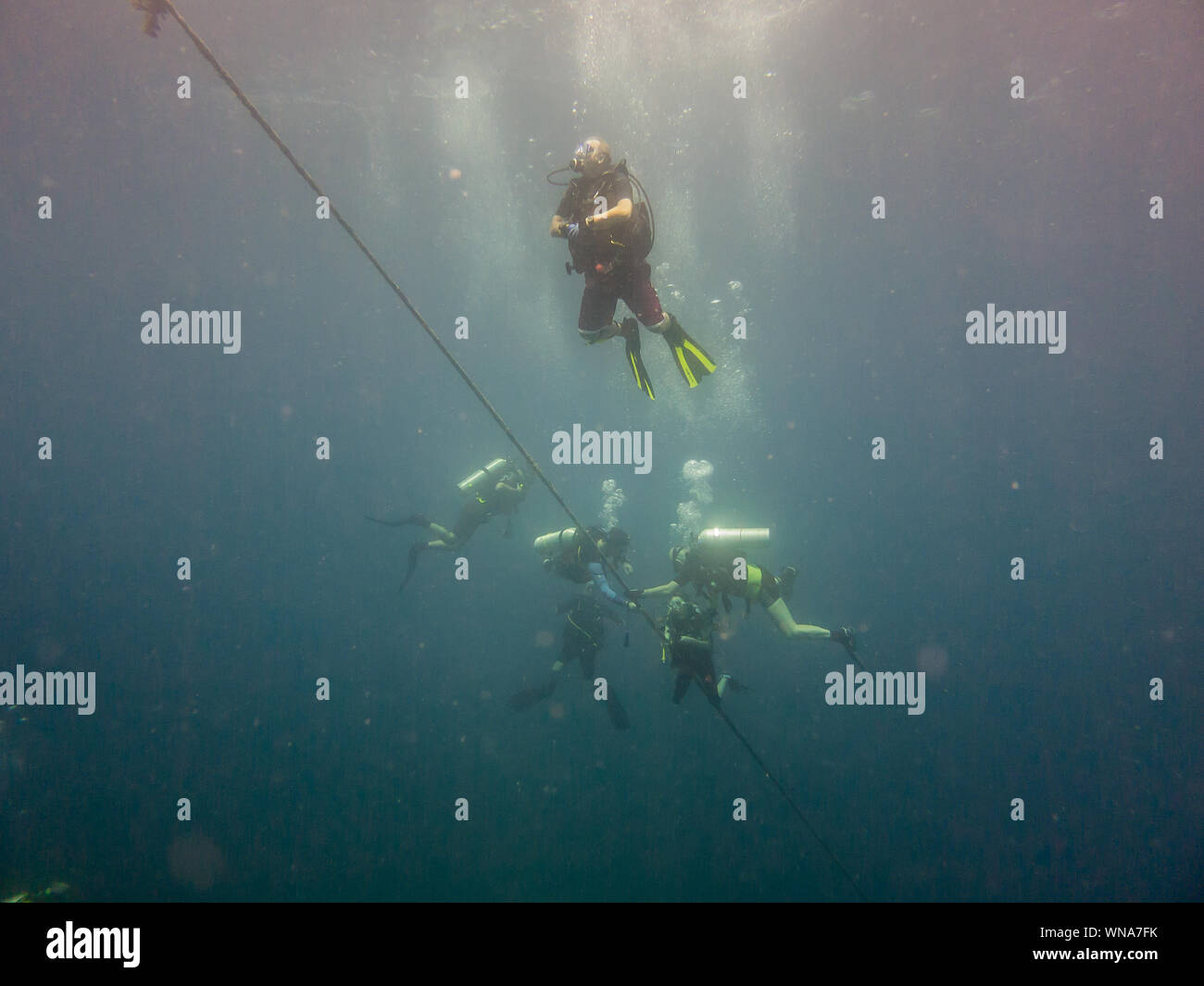 Scuba Diving in the Red Sea Stock Photo - Alamy