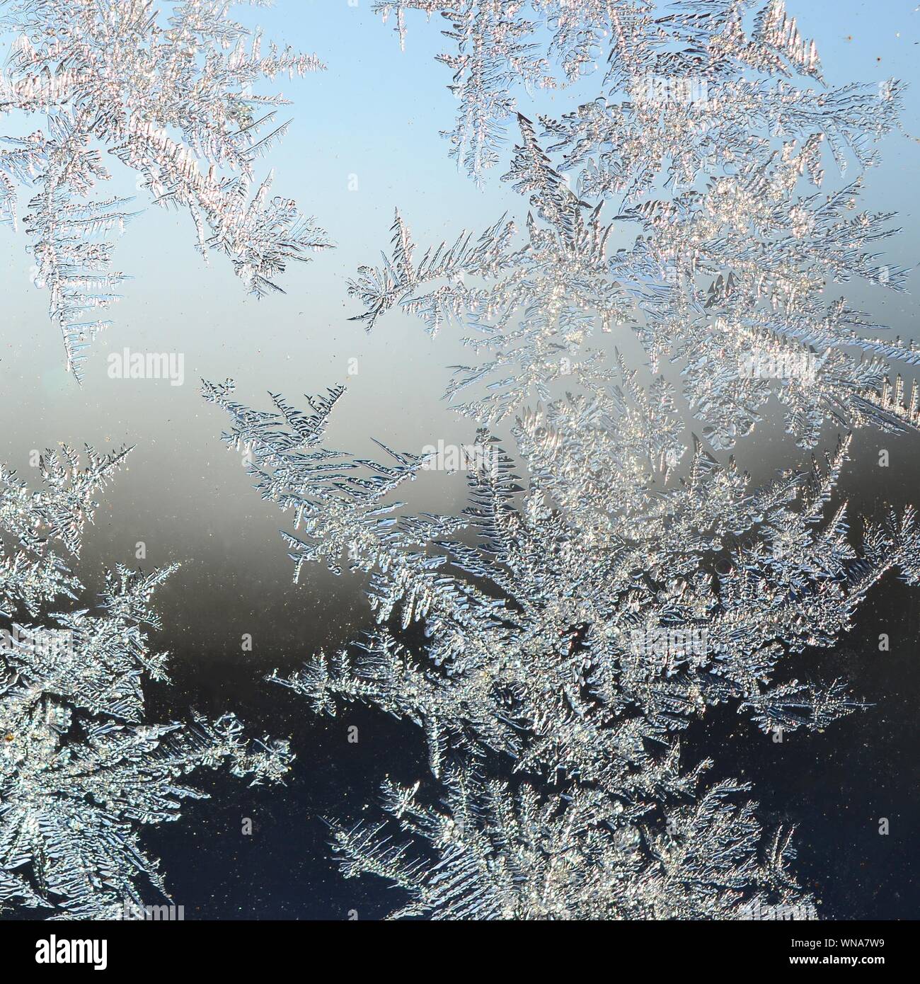 Snowflakes frost rime macro on window glass pane. Colorful ice on the ...