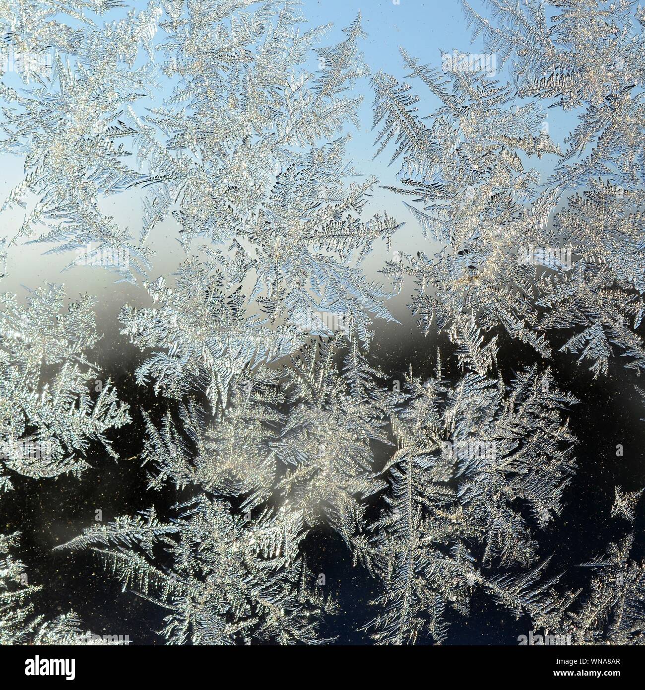 Snowflakes frost rime macro on window glass pane. Colorful ice on the ...