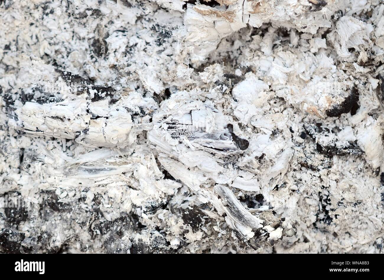 Pile of ashes after the fire went out grunge background texture. Burned ...