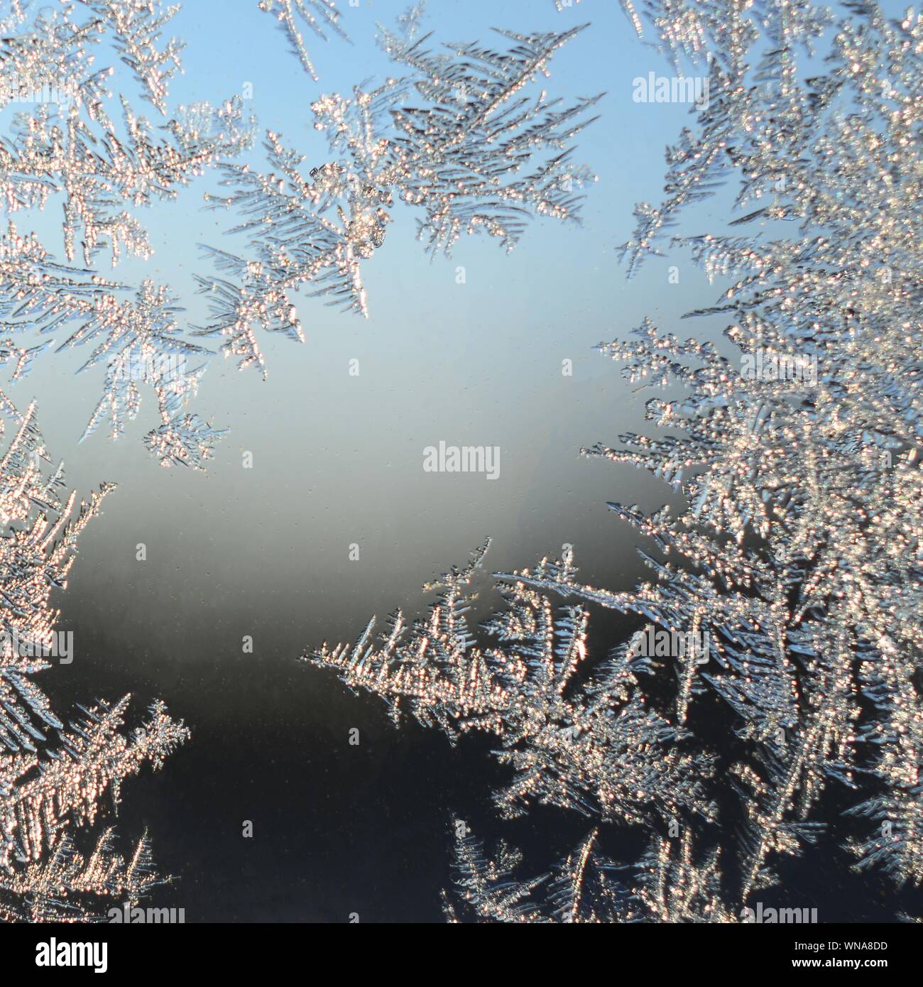 Snowflakes frost rime macro on window glass pane. Colorful ice on the ...