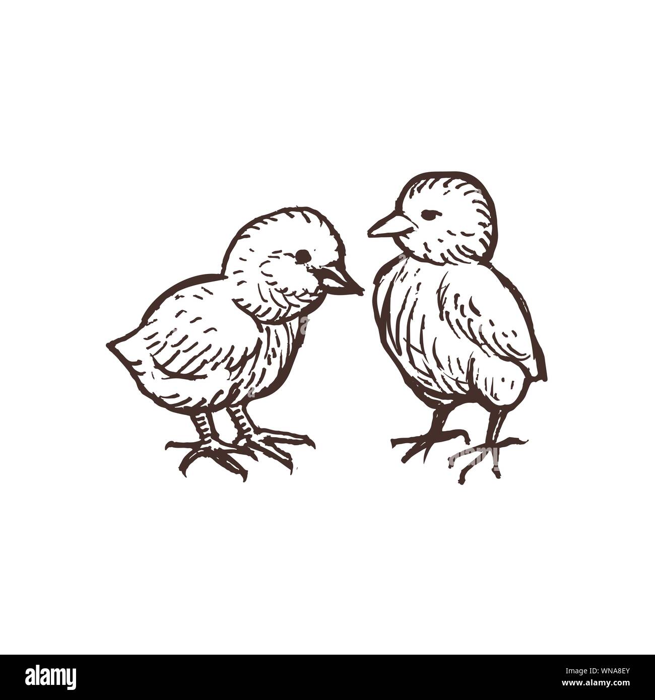 Two face chicken Stock Vector Images - Alamy