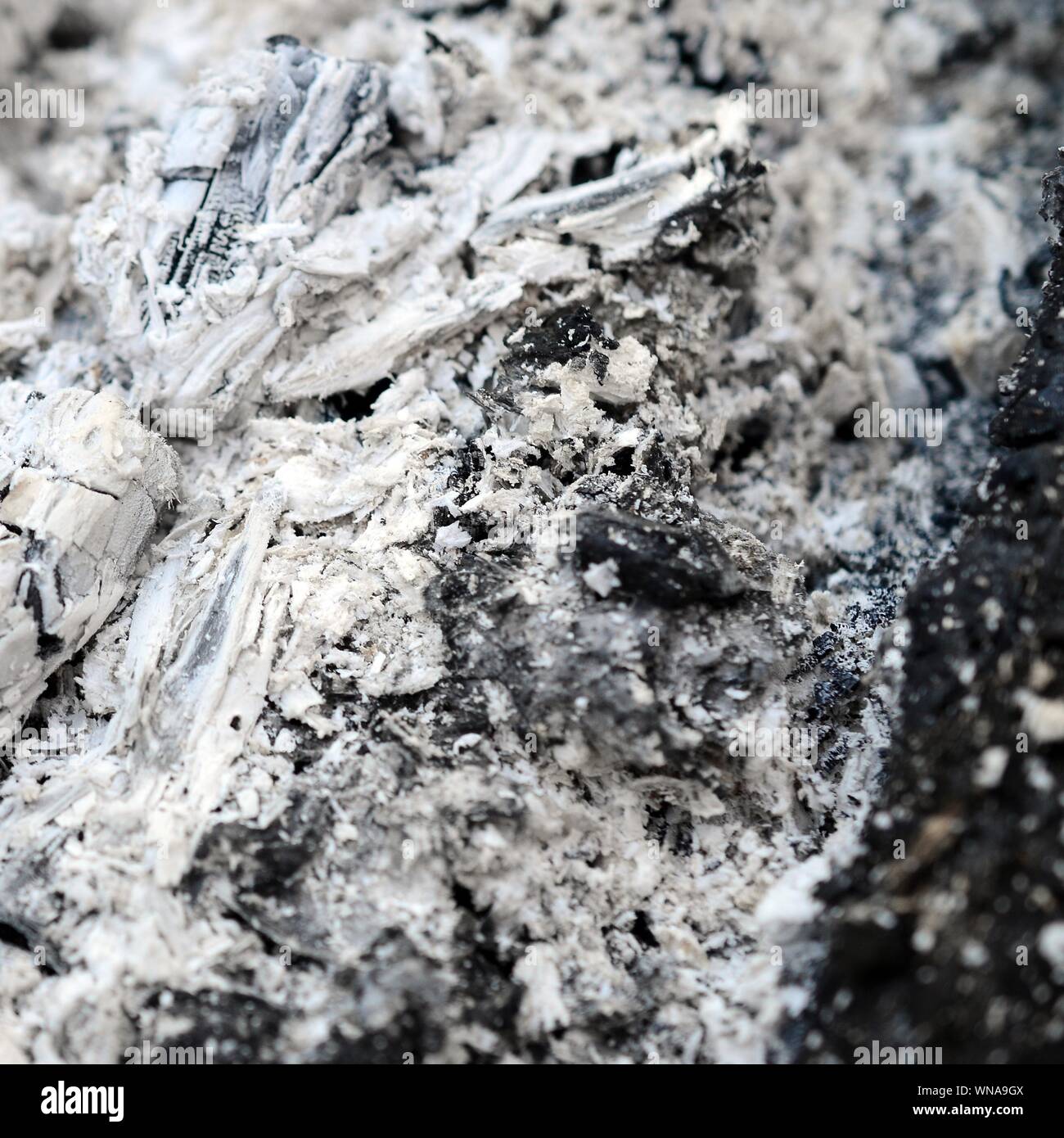 Pile of ashes after the fire went out grunge background texture. Burned ...