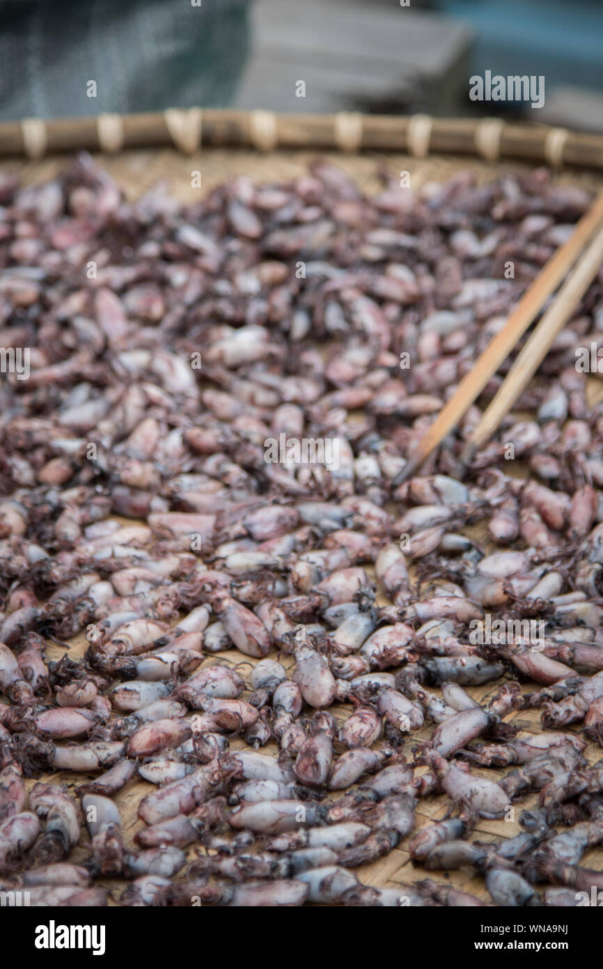 Roasted insects hi-res stock photography and images - Alamy