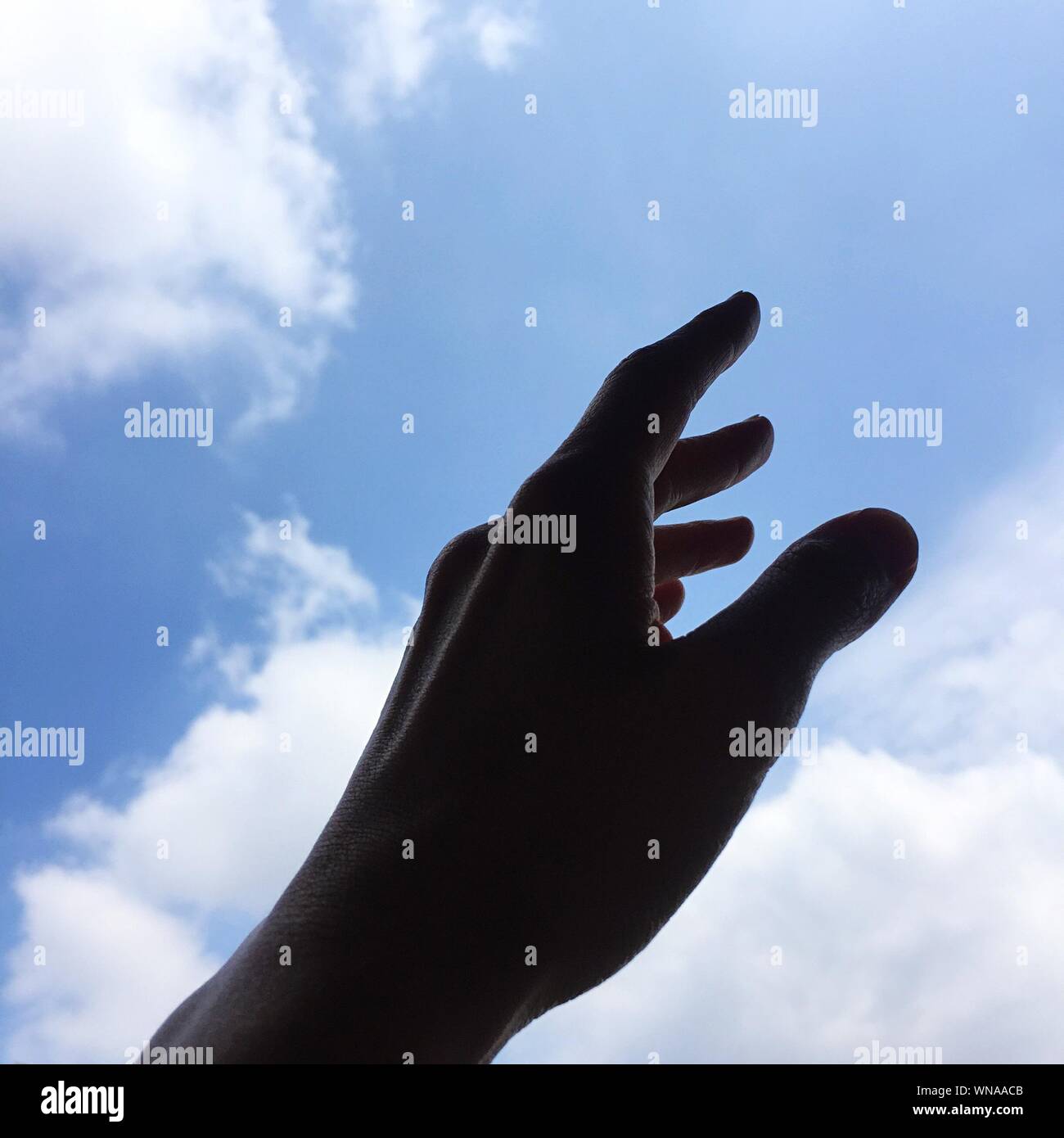 Reaching up silhouette hi-res stock photography and images - Alamy