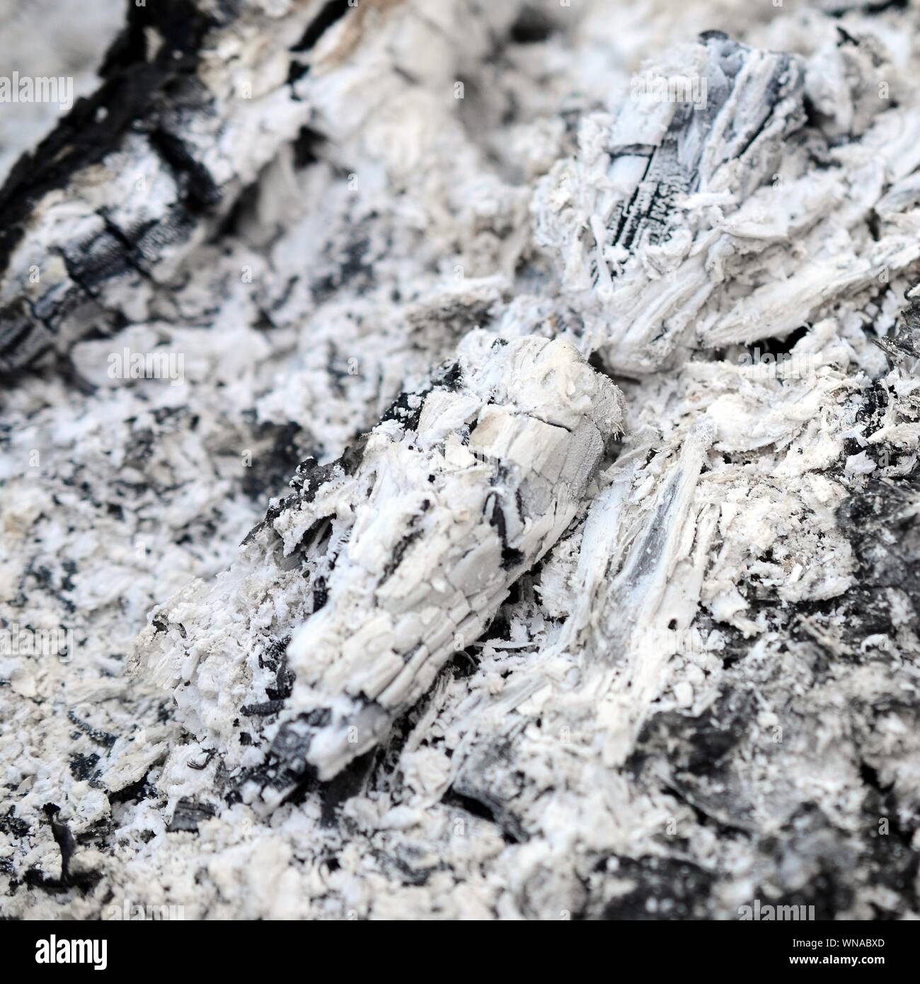 Pile of ashes after the fire went out grunge background texture. Burned ...