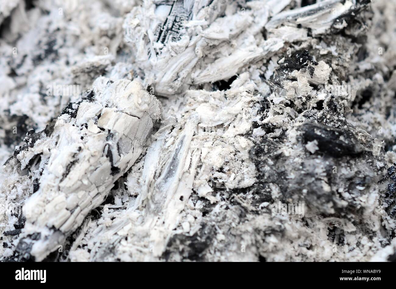 Pile of ashes after the fire went out grunge background texture. Burned ...