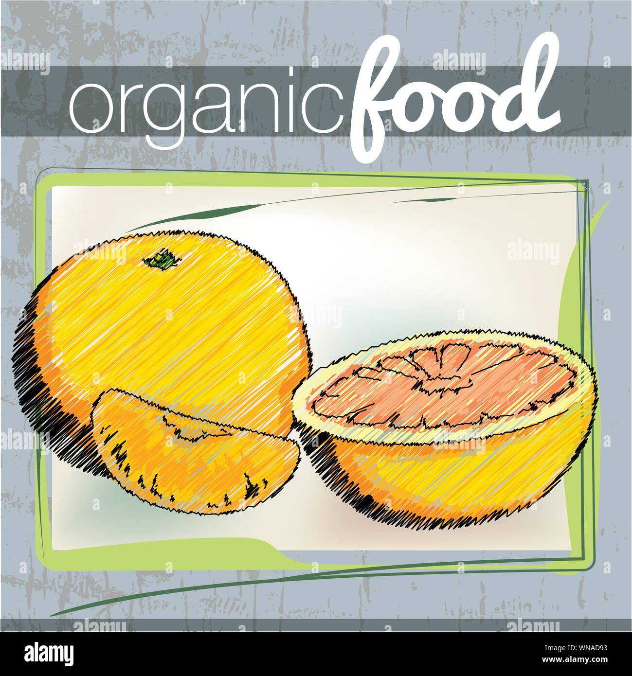 Organic Food illustration Stock Vector Image & Art - Alamy