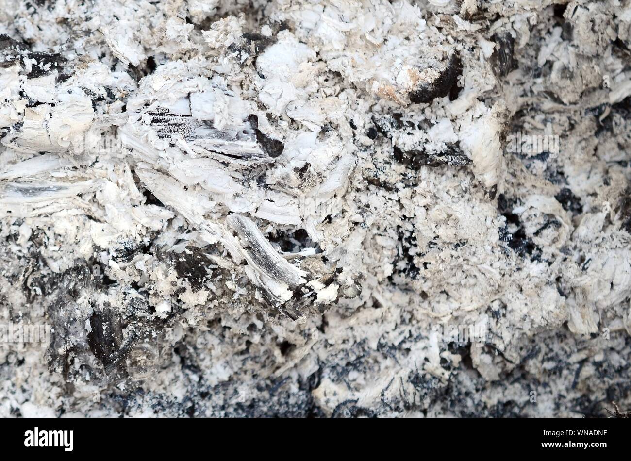Pile of ashes after the fire went out grunge background texture. Burned ...