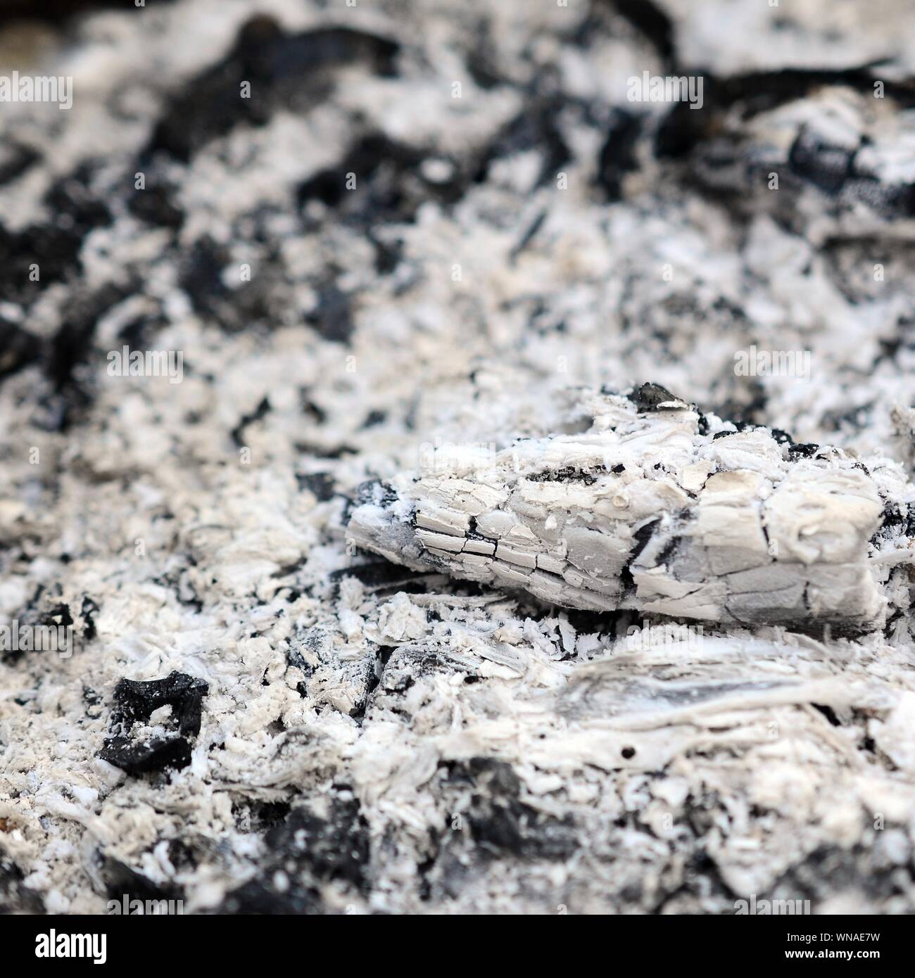Pile of ashes after the fire went out grunge background texture. Burned ...
