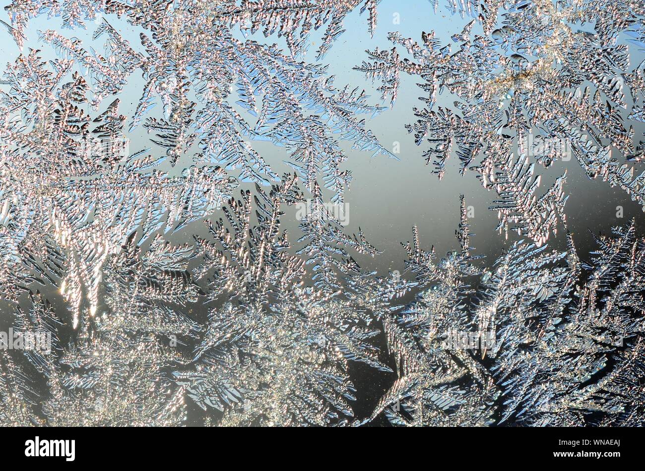Snowflakes frost rime macro on window glass pane. Colorful ice on the ...