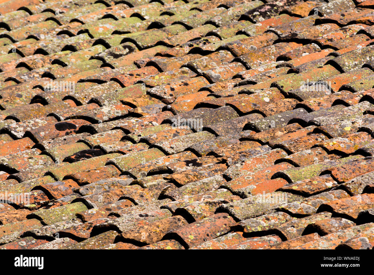 Damaged roof tiles hi-res stock photography and images - Alamy