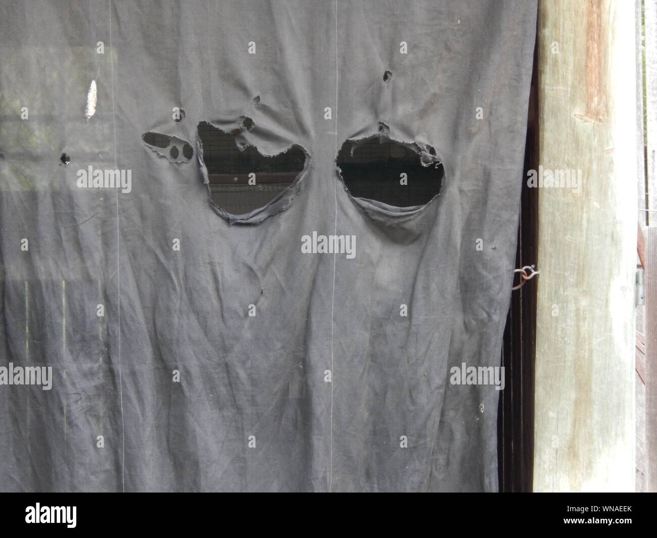 Torn curtain hi-res stock photography and images - Alamy