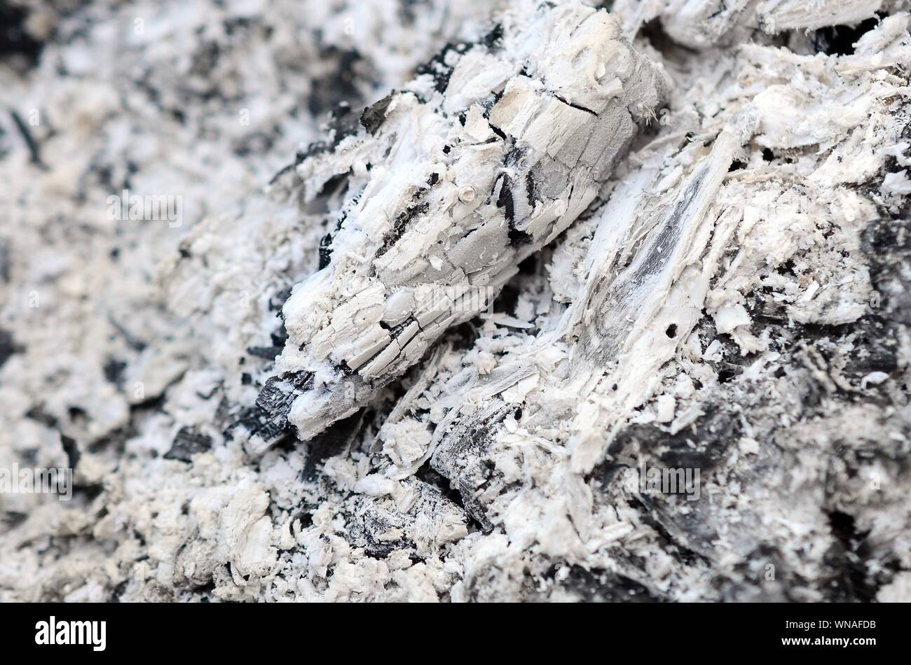 Pile of ashes after the fire went out grunge background texture. Burned ...