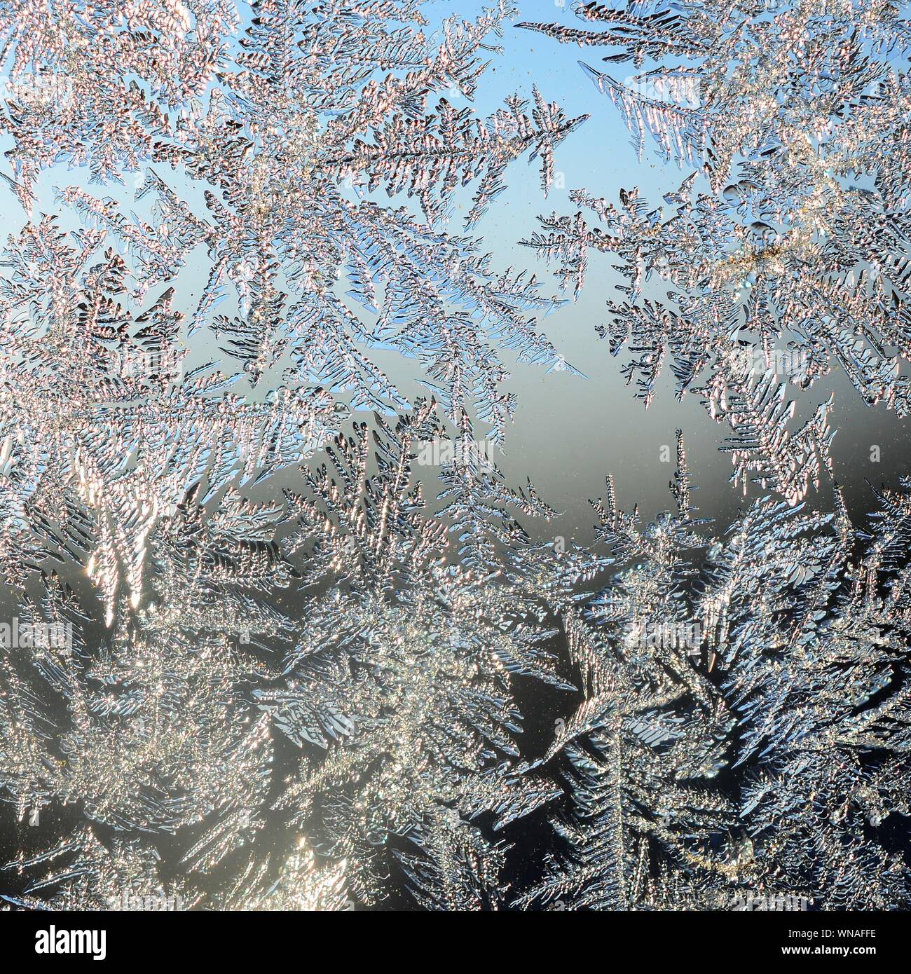 Snowflakes frost rime macro on window glass pane. Colorful ice on the ...