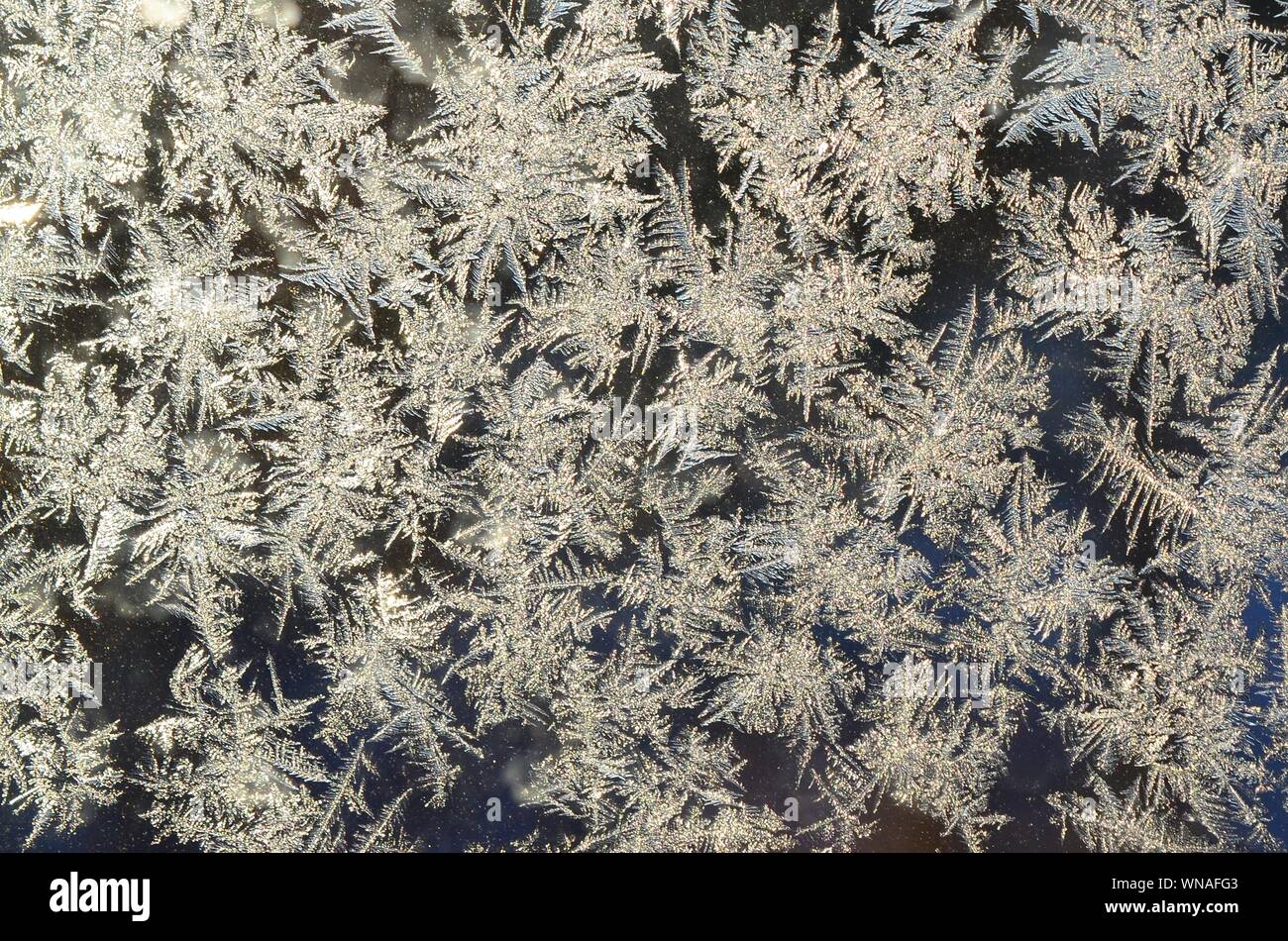 Snowflakes frost rime macro on window glass pane. Colorful ice on the ...