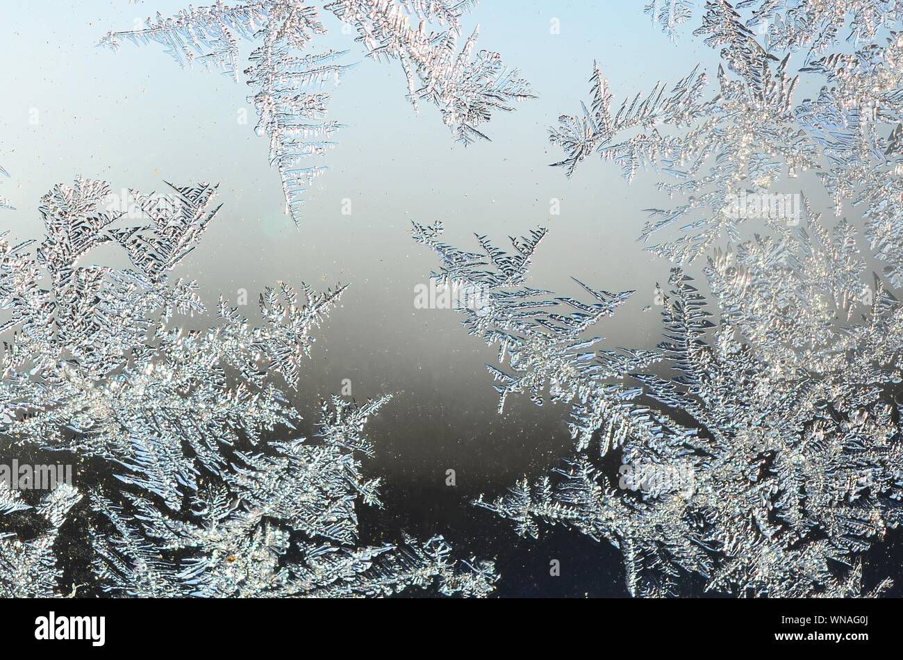 Snowflakes frost rime macro on window glass pane. Colorful ice on the ...