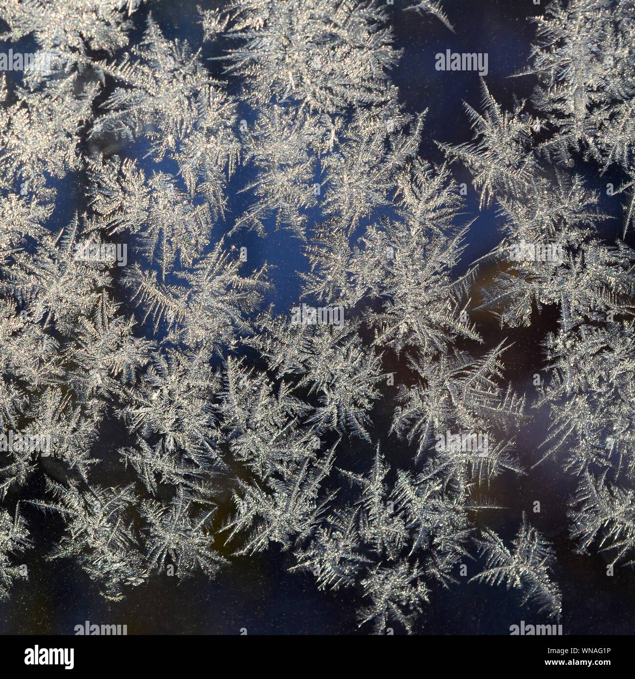 Snowflakes frost rime macro on window glass pane. Colorful ice on the ...