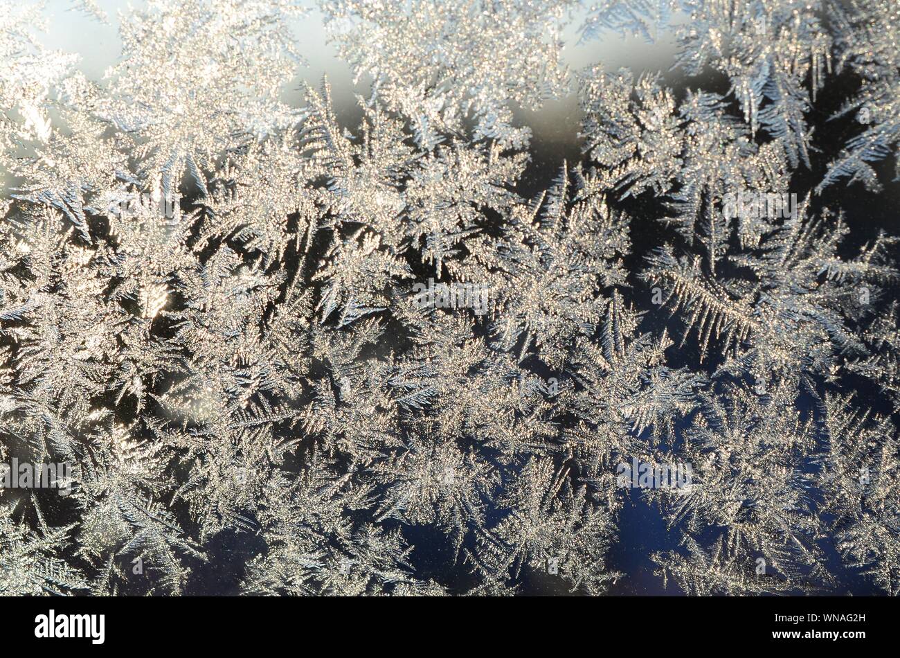 Snowflakes frost rime macro on window glass pane. Colorful ice on the ...