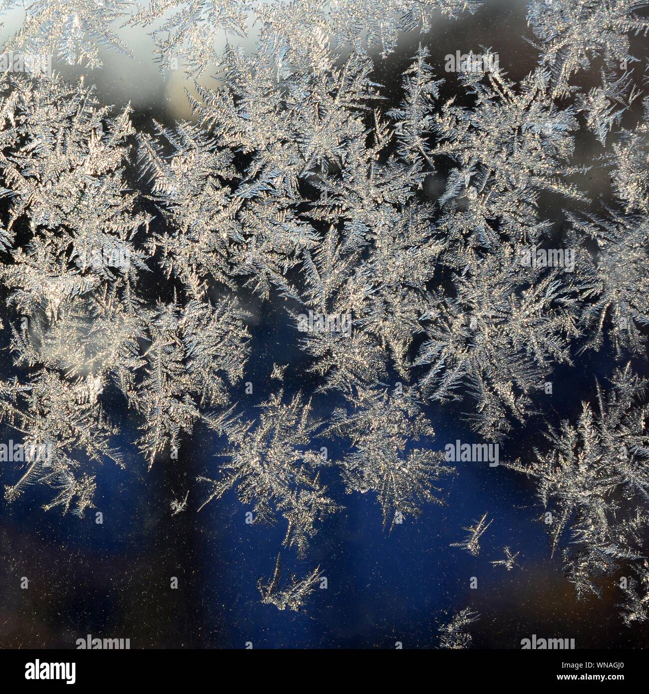 Snowflakes frost rime macro on window glass pane. Colorful ice on the ...