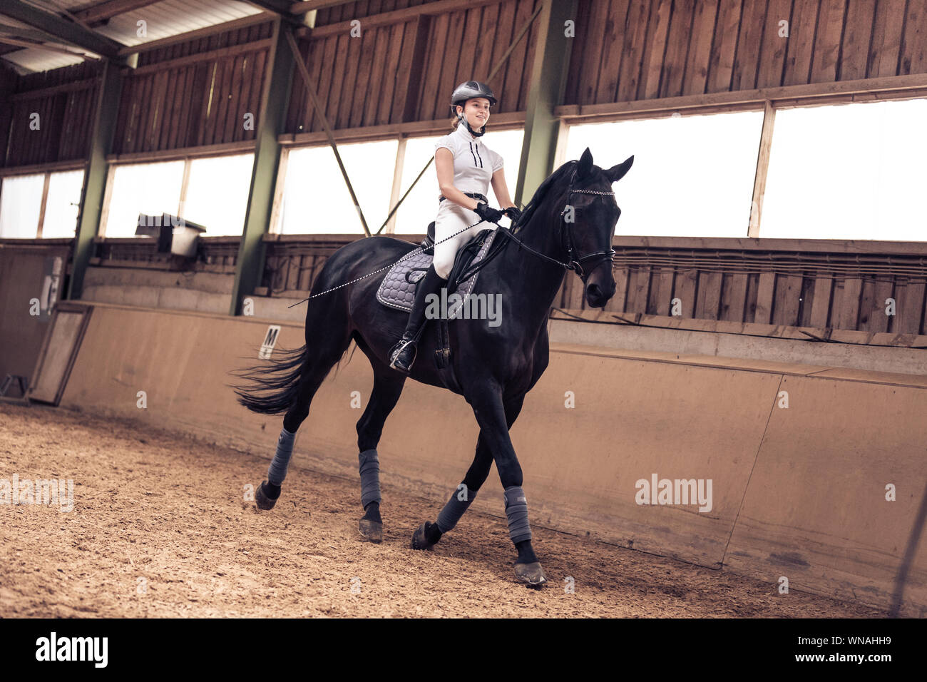 Girl And Horse Stable High Resolution Stock Photography and Images - Alamy