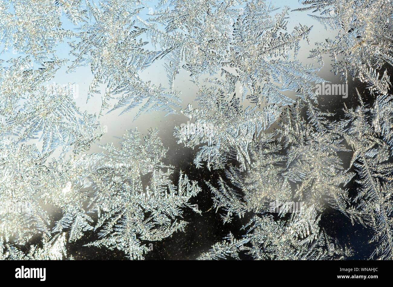 Snowflakes frost rime macro on window glass pane. Colorful ice on the ...
