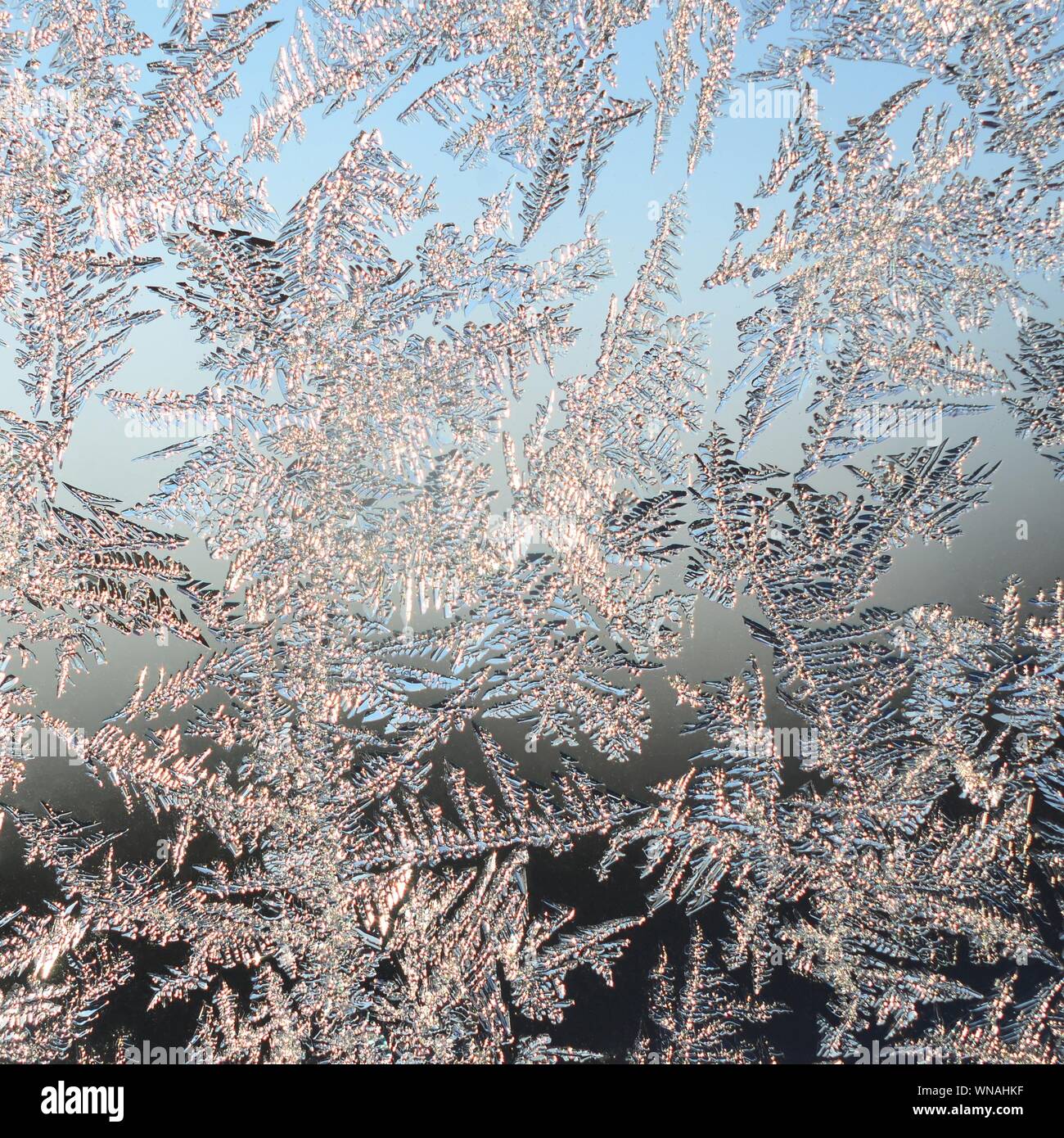 Snowflakes frost rime macro on window glass pane. Colorful ice on the ...