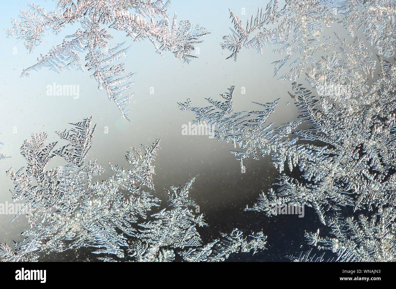 Snowflakes frost rime macro on window glass pane. Colorful ice on the ...